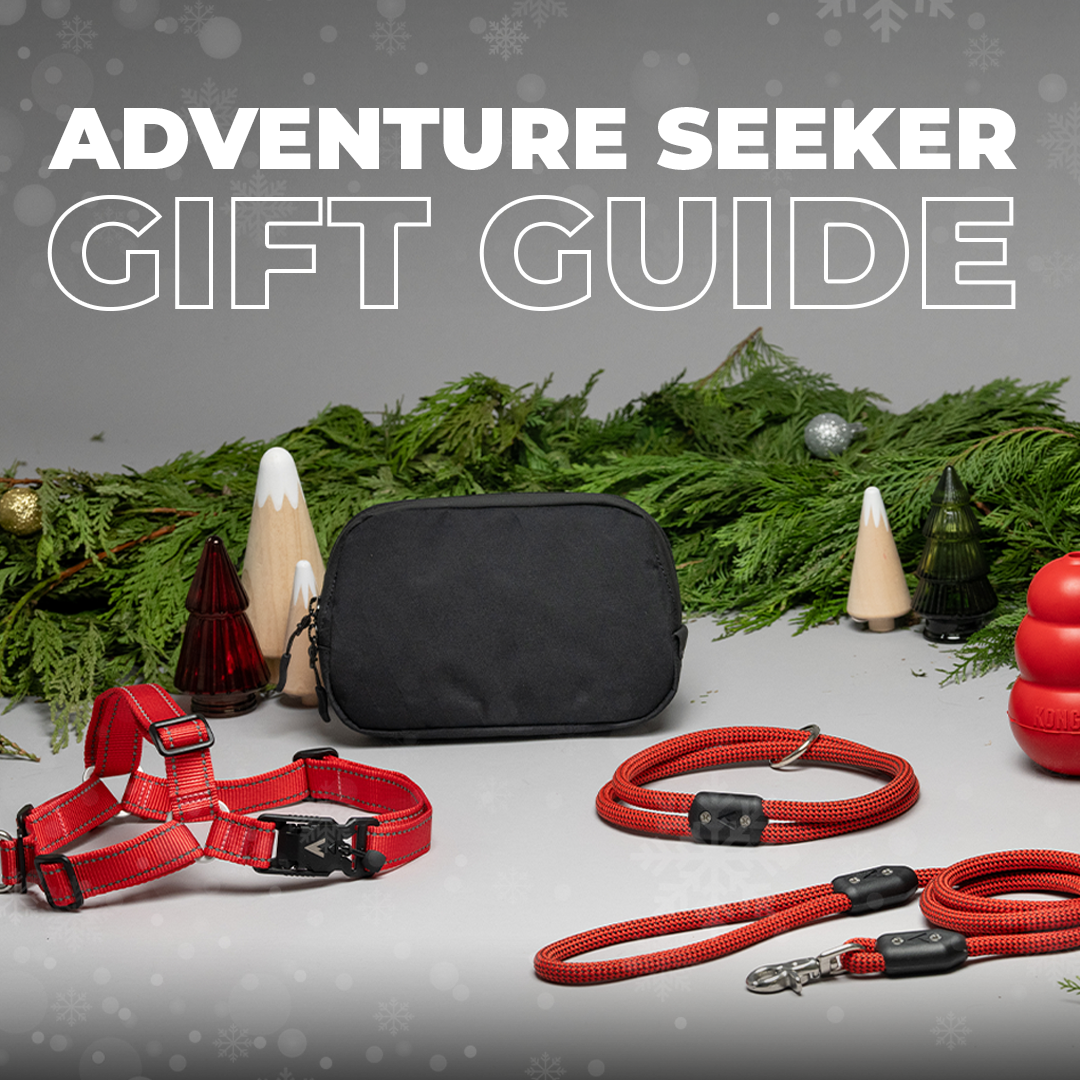 Gift Guide: Adventure Seeker – Atlas Pet Company