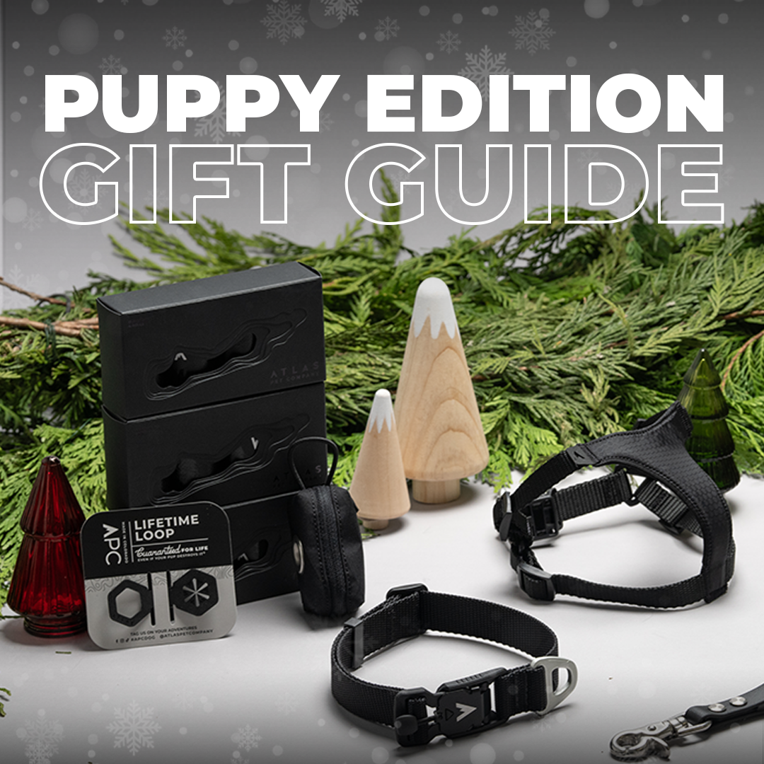 Gift Guide: Puppy Edition – Atlas Pet Company