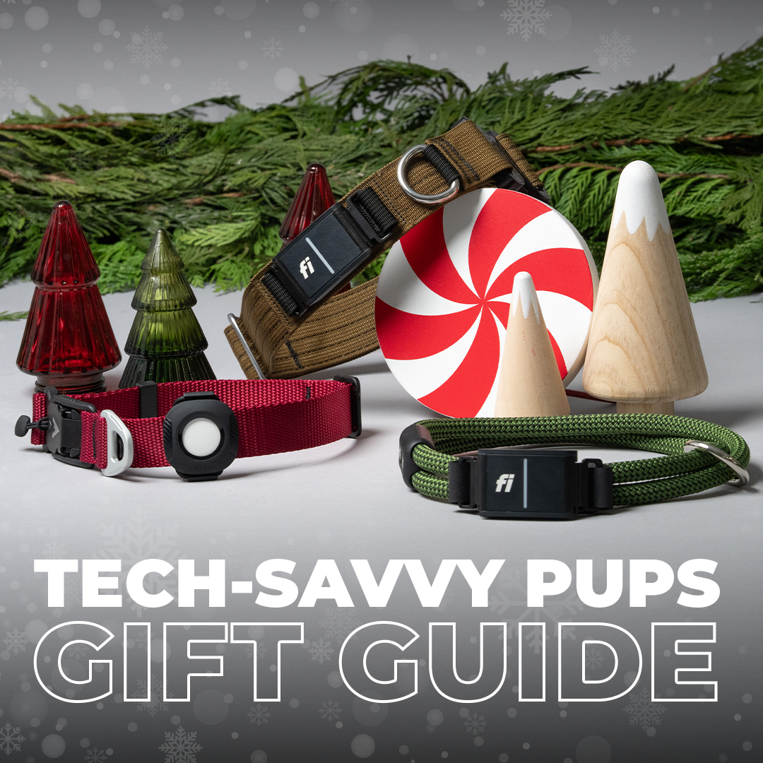Gift Guide: Tech-Savvy Pups – Atlas Pet Company