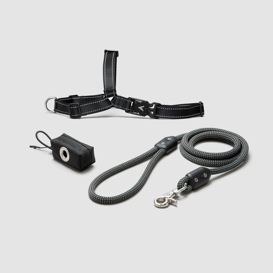 Lifetime Slip Collar – Atlas Pet Company